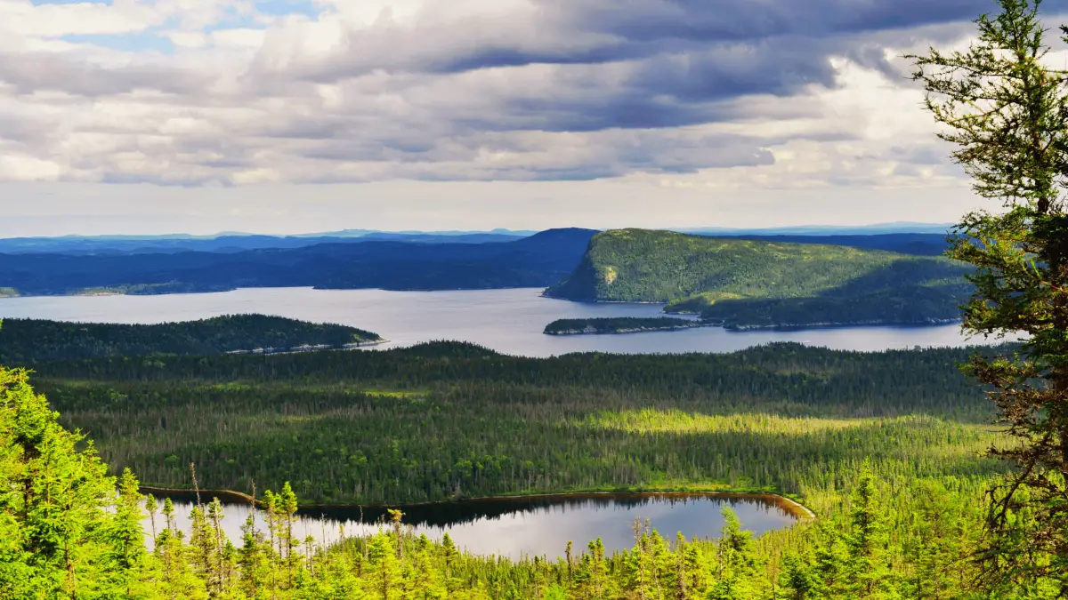 Discovering the Best of Red Bay Labrador: A Traveler's Guide